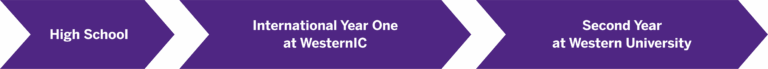 International Year One (IYO): Science - Western International College